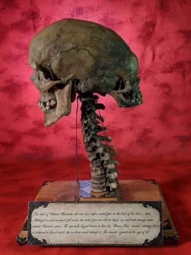 La Verdadera Historia de Edward Mordrake